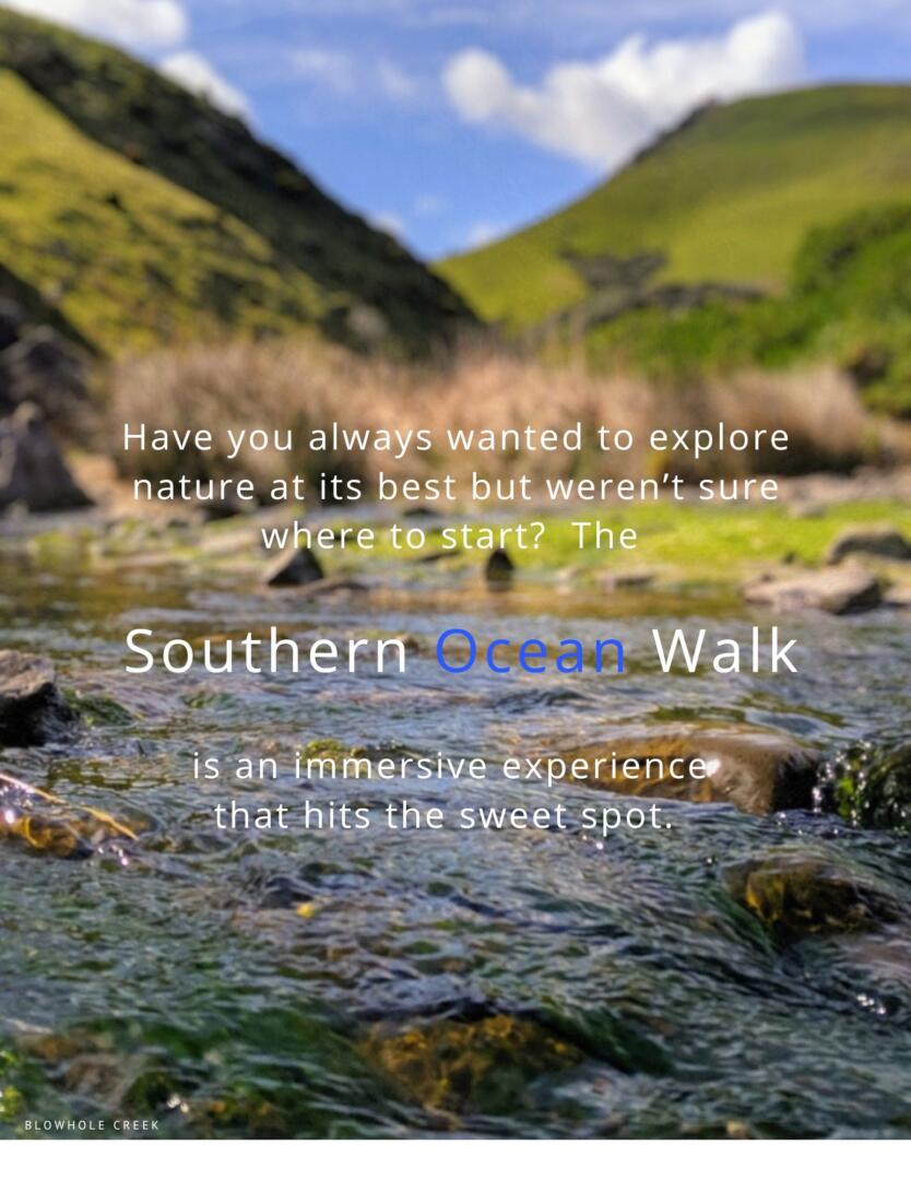 Brochure - Southern Ocean Walk