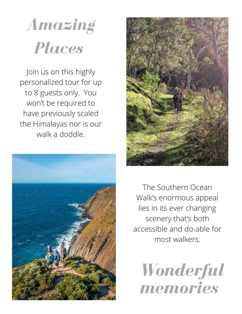 Brochure - Southern Ocean Walk