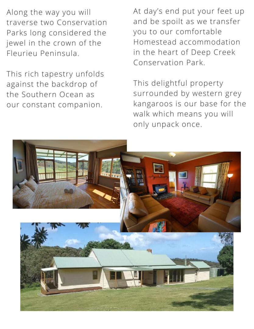 Brochure - Southern Ocean Walk