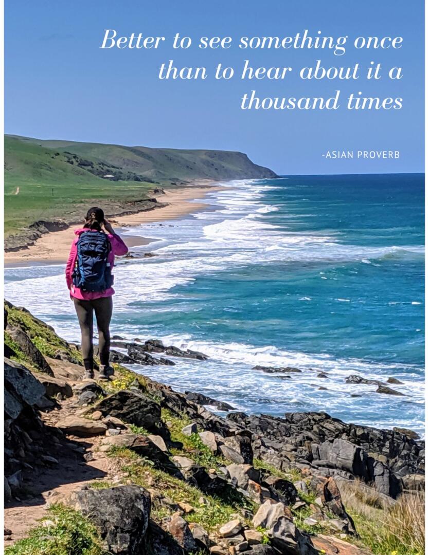 Brochure - Southern Ocean Walk