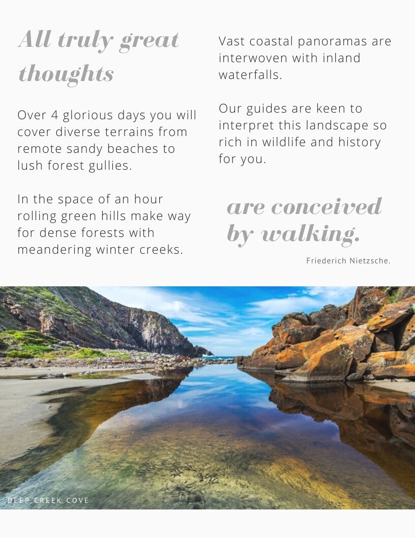 Brochure - Southern Ocean Walk